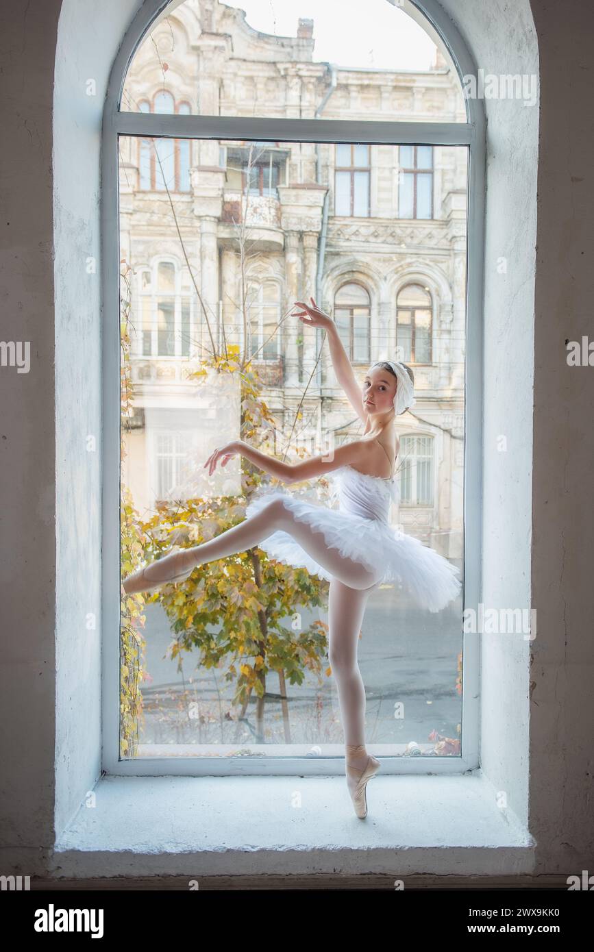 Young ballerina in White Swan tutu dances on panoramic window in an ...