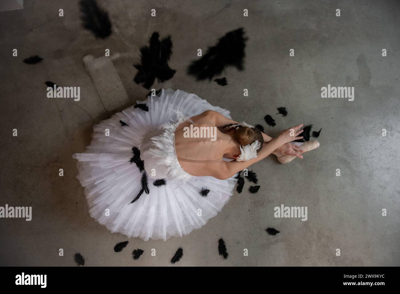 Swan lake ballerina hi-res stock photography and images - Alamy