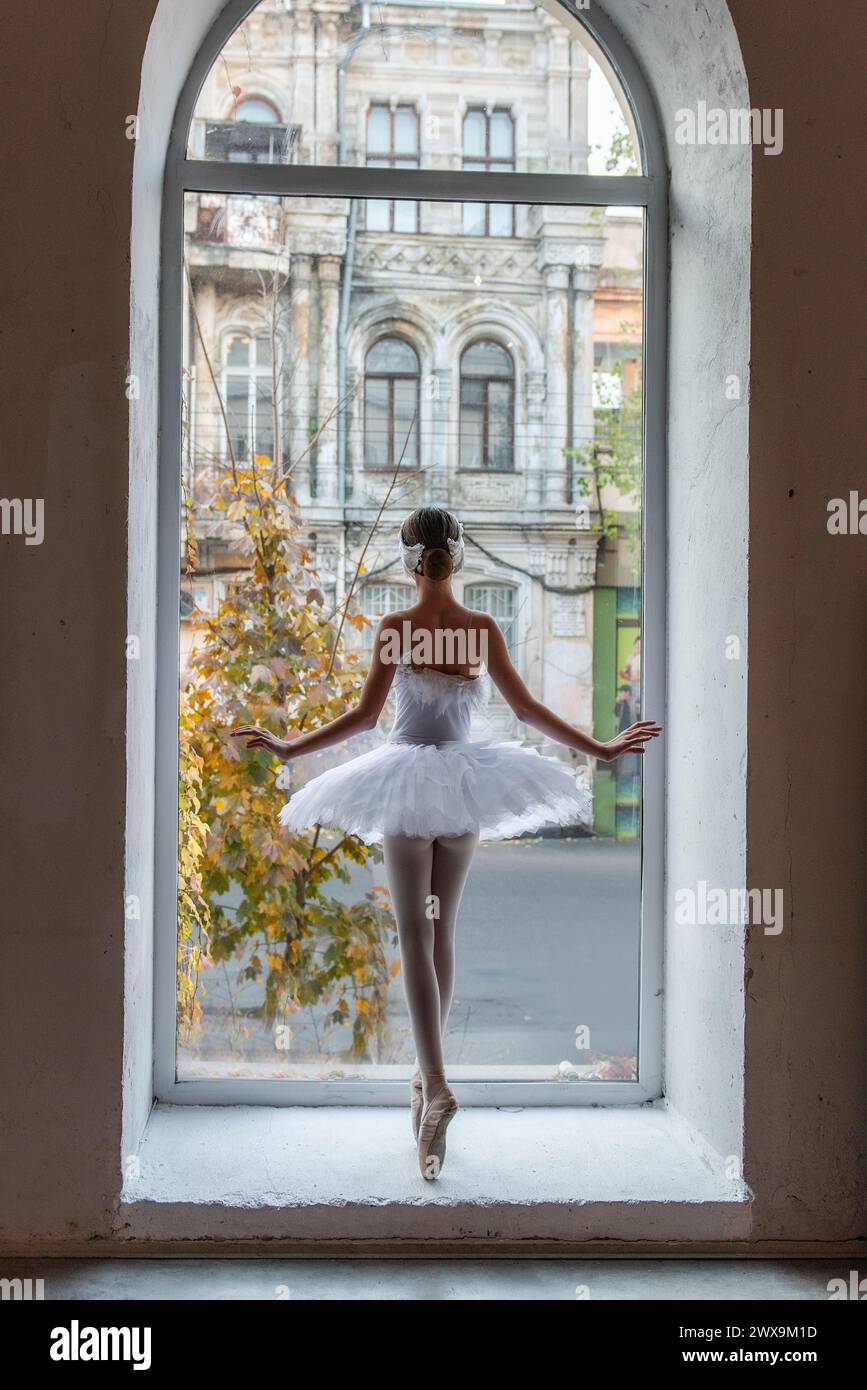Ballerina poses en pointe, white tutu within an arched window frame ...