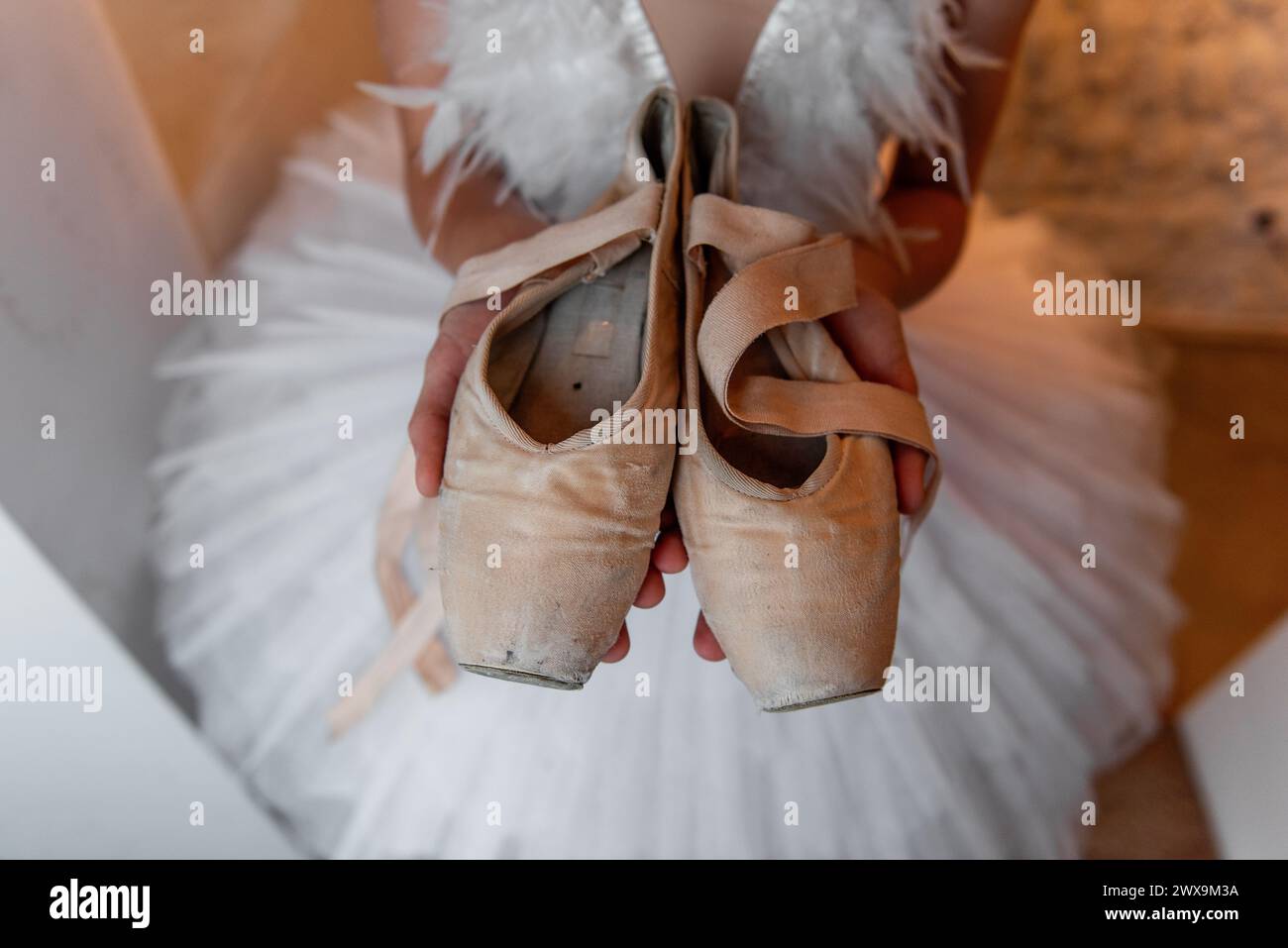 Young ballerina in white tutu, feathered hair tiara accessory stands ...