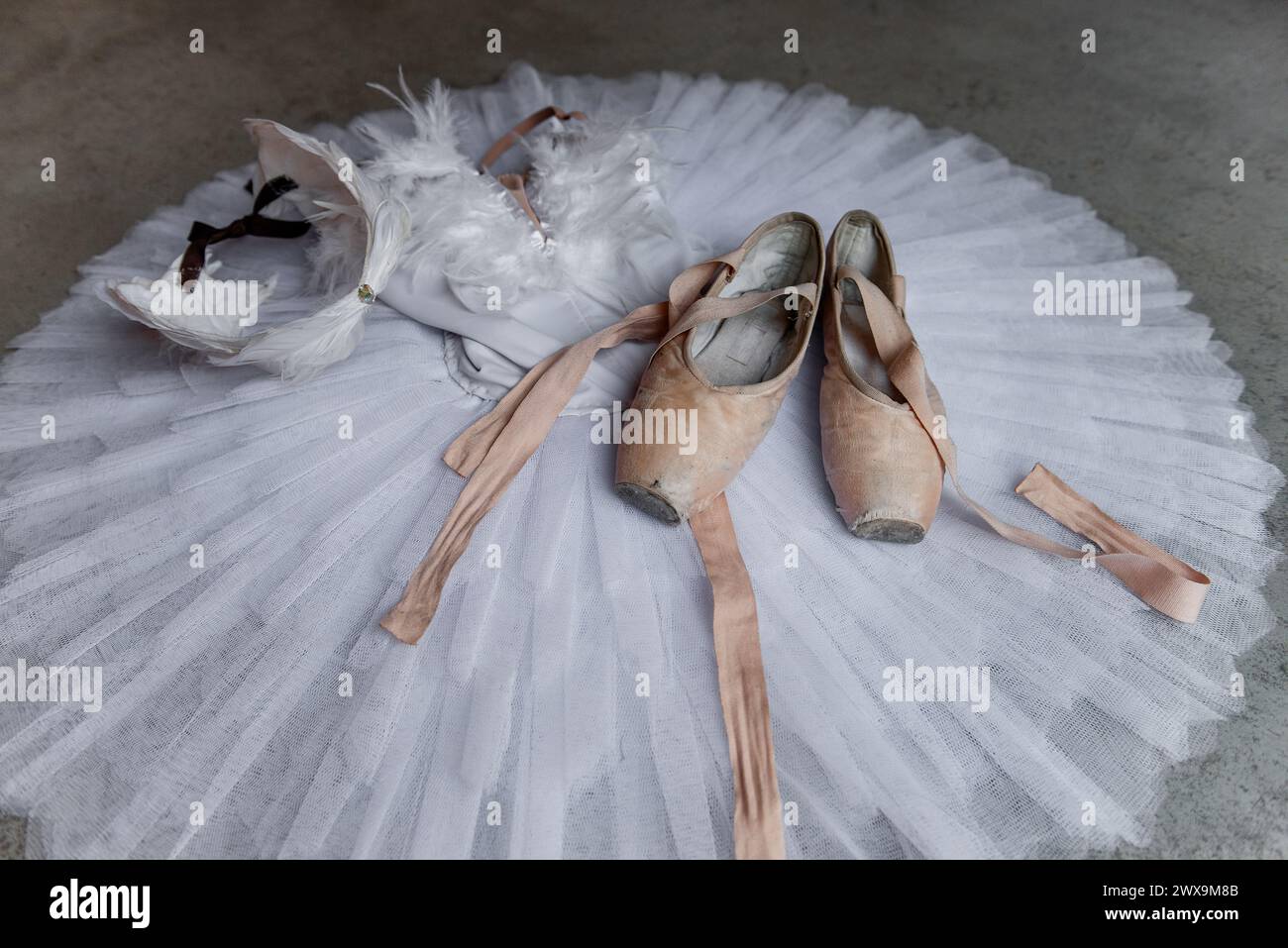 Top view of complete ballet ensemble, with tutu, feathered bodice, and ...