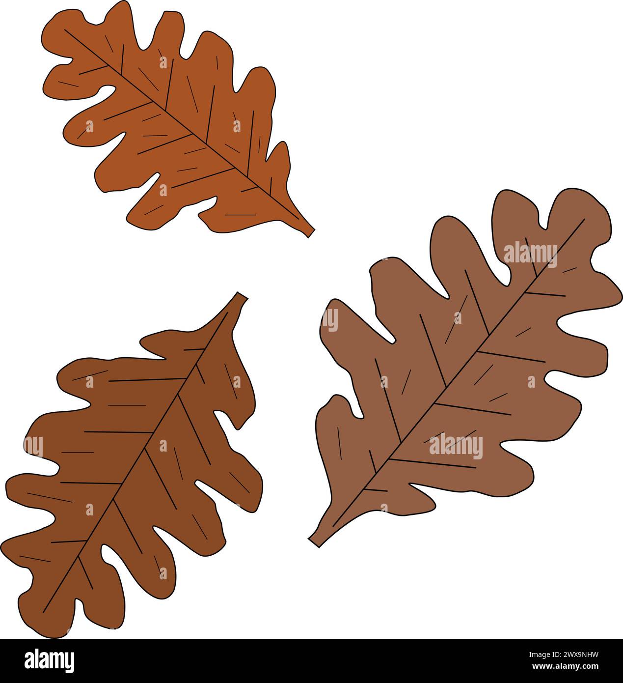 Artistic elegance of botanical drawing hi-res stock photography and ...