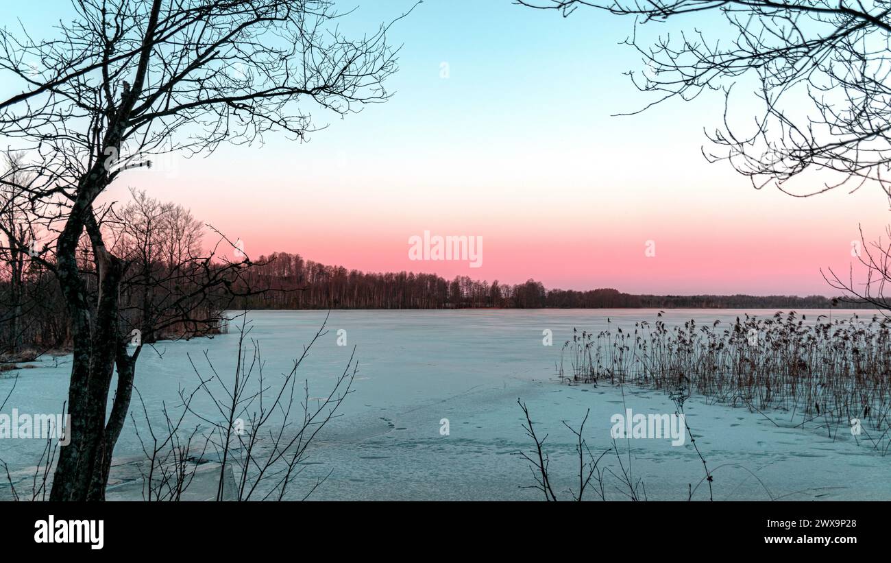 spring morning, evening, swamp lake shore, swamp vegetation at the end ...