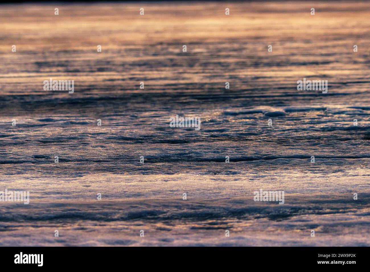 North-eastern European river after frosty winter. Porous ice was ...