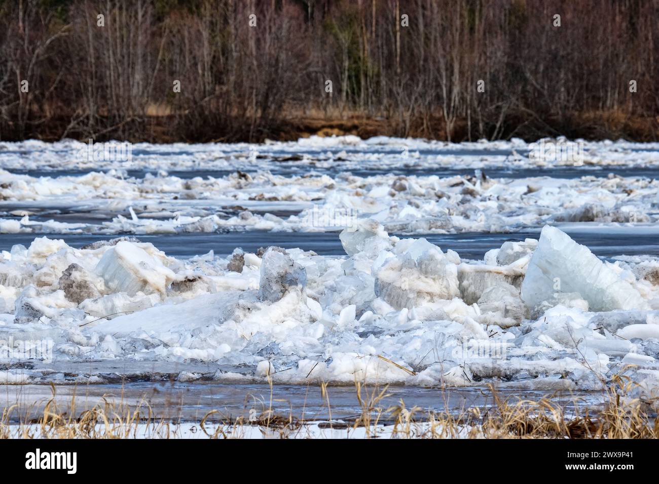 A landscape of an ice drift (ice-boom, debacle) on the northern river ...