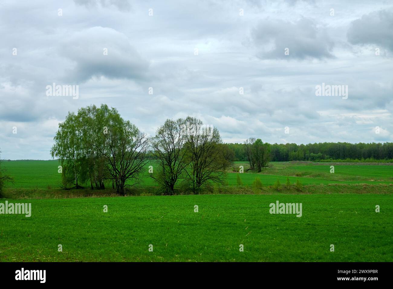 Middle east turn hi-res stock photography and images - Alamy