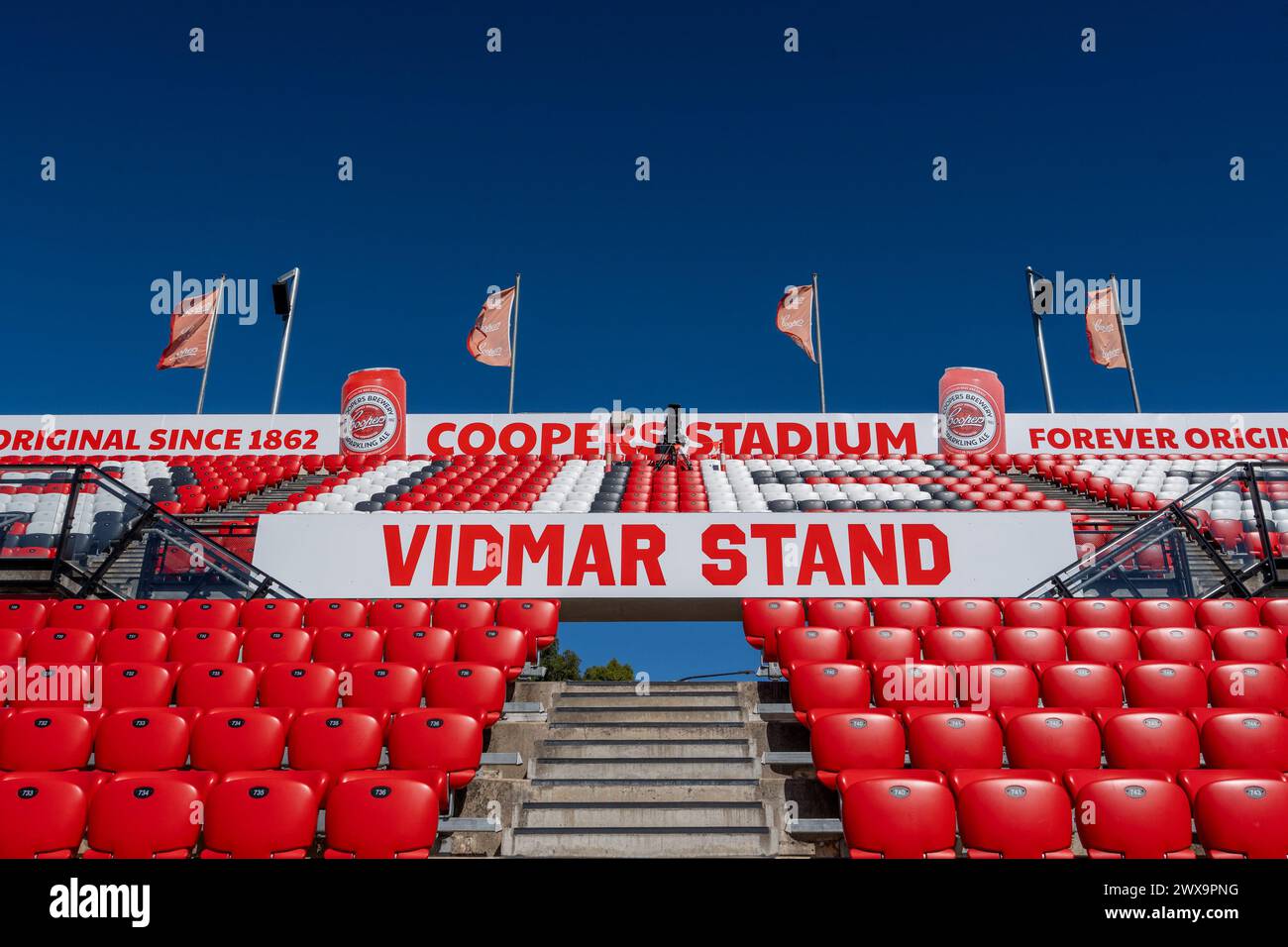 Coopers stadium hi-res stock photography and images - Alamy