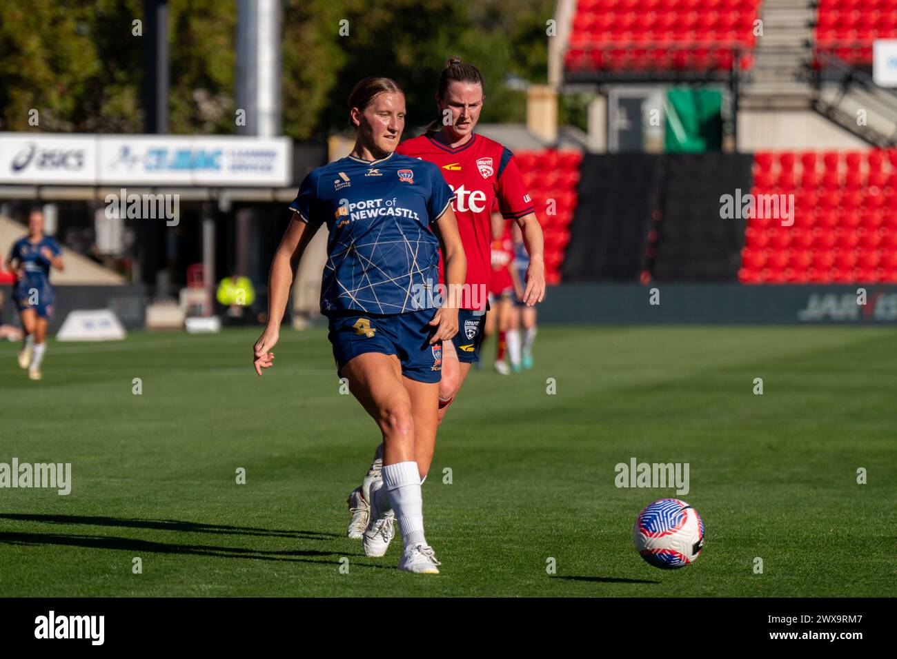 Coopers stadium hi-res stock photography and images - Alamy