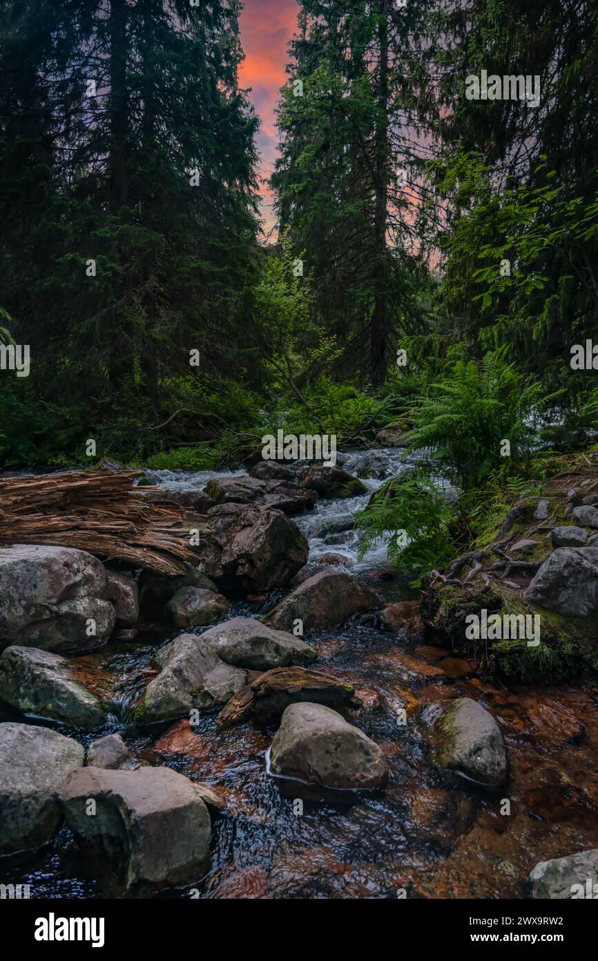 Summer Sunset Over Forest River in Dalarna Sweden. Evening light paints ...