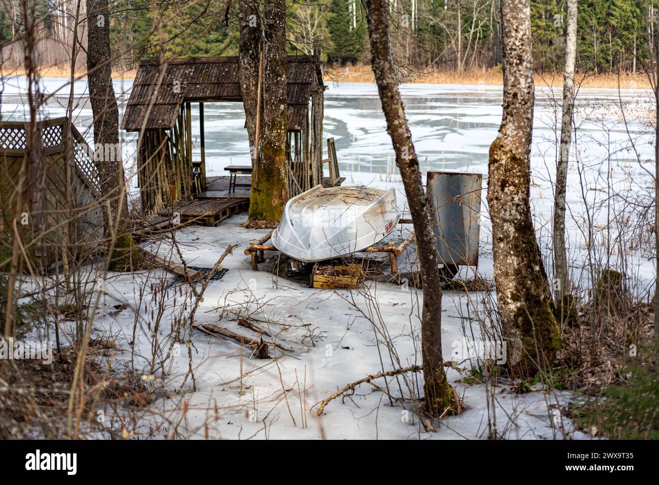spring morning, evening, swamp lake shore, swamp vegetation at the end ...