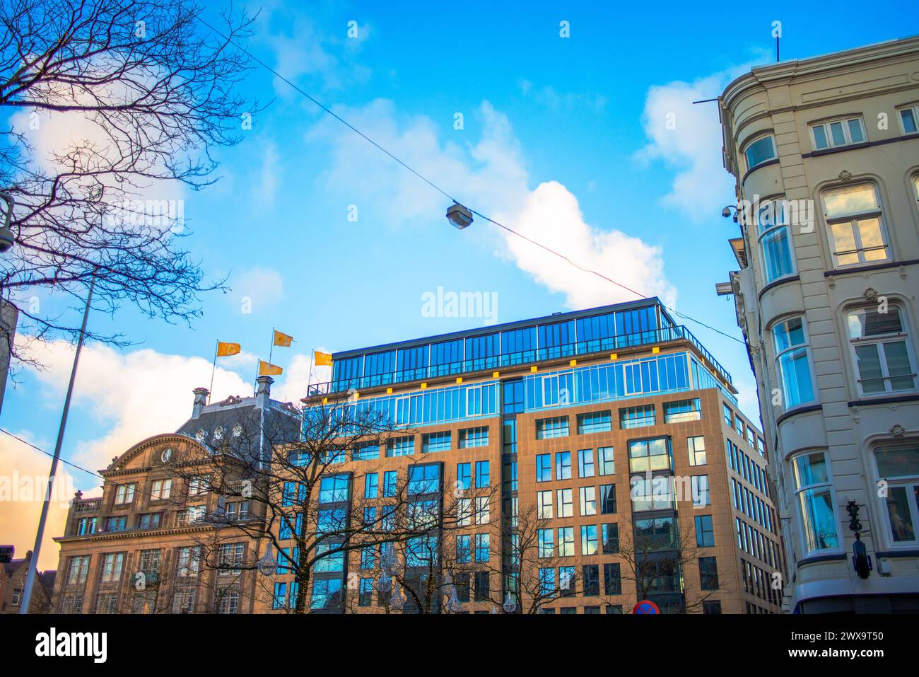 Amsterdam Dome Square comes alive in Christmas lights, with a cheerful ...