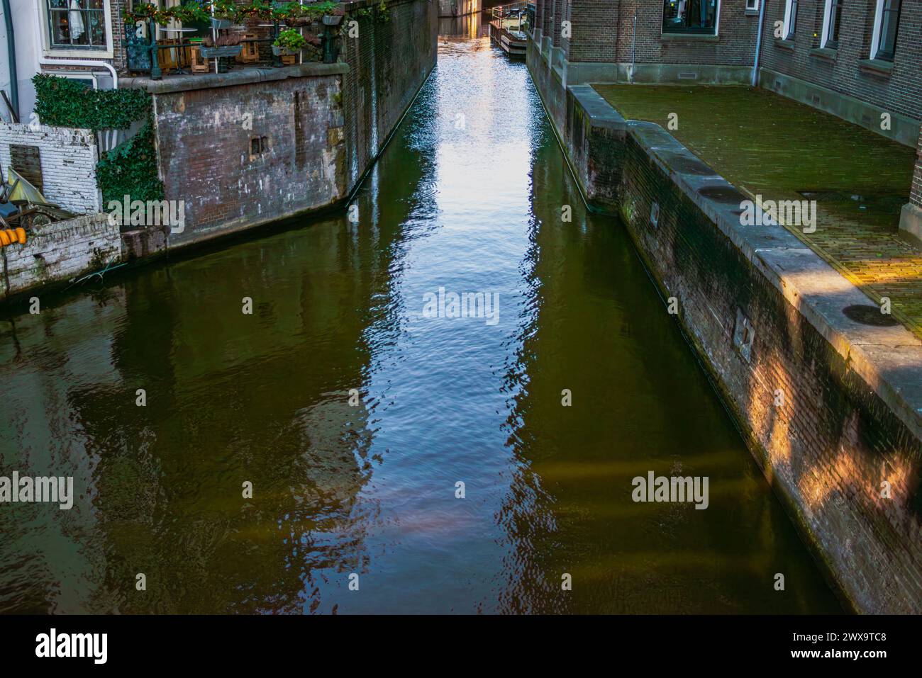 Embark on a picturesque journey through Amsterdam's canals aboard a ...