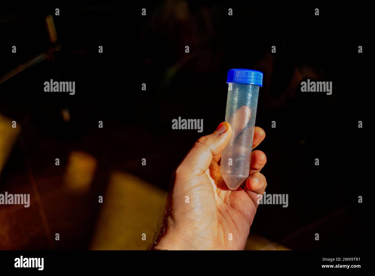 A photo of holding Falcon tube in a sunny lab depicts scientific ...