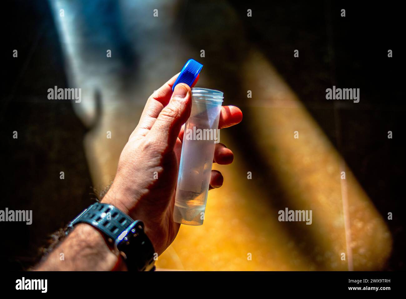 A photo of holding Falcon tube in a sunny lab depicts scientific ...