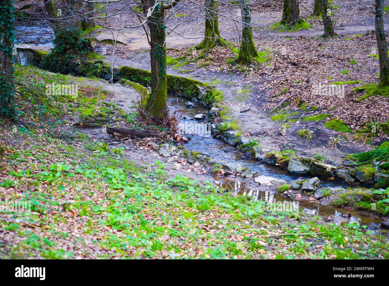 Flowingwaterscape hi-res stock photography and images - Alamy
