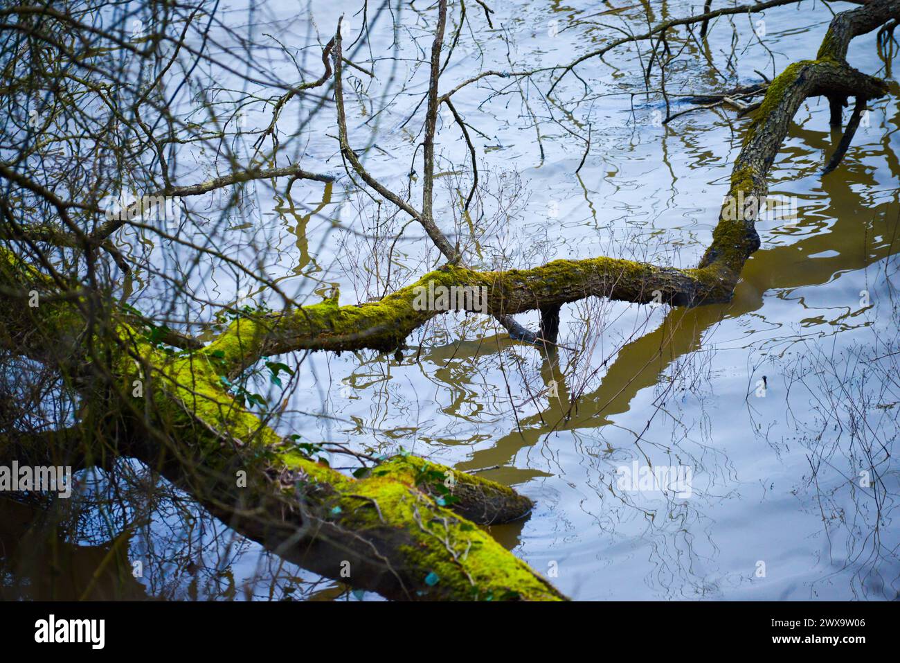 Riverbankview hi-res stock photography and images - Alamy