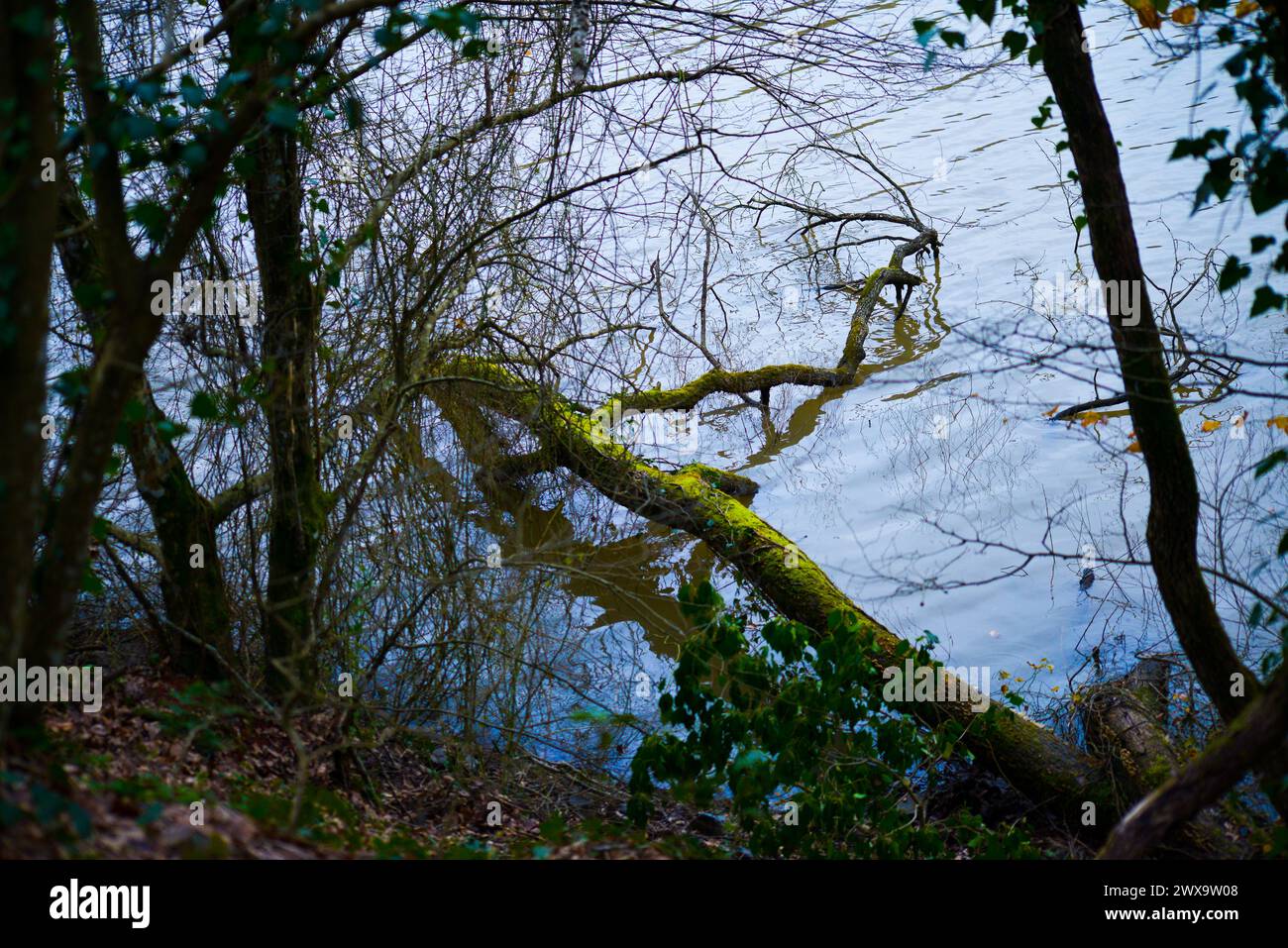 Riverbankview hi-res stock photography and images - Alamy