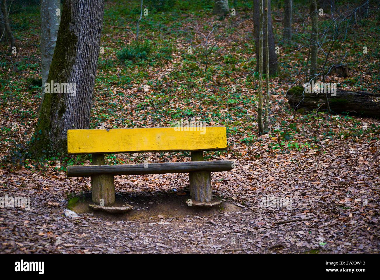 Yellowbank hi-res stock photography and images - Alamy