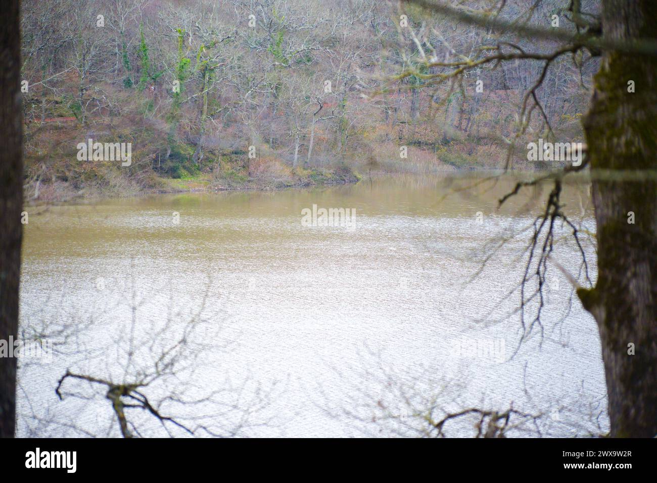 Woodlandview hi-res stock photography and images - Alamy