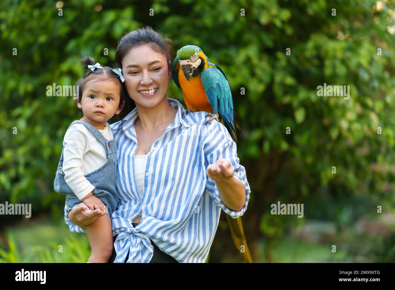 happy mother and her daughter feeding blue-and-yellow macaw (Ara ...