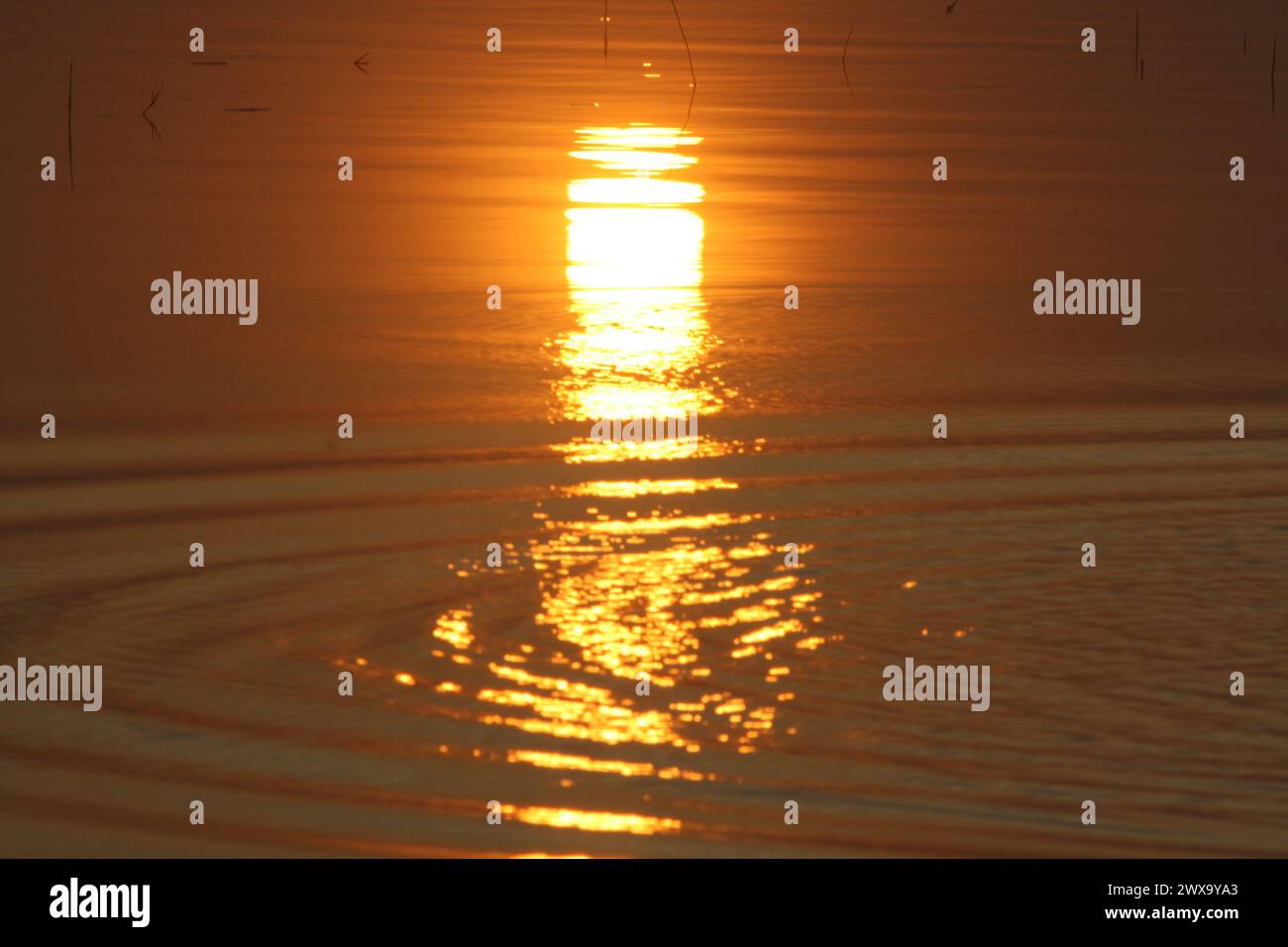 The reflection of the colorful sun disturbed by the waves of water in a ...