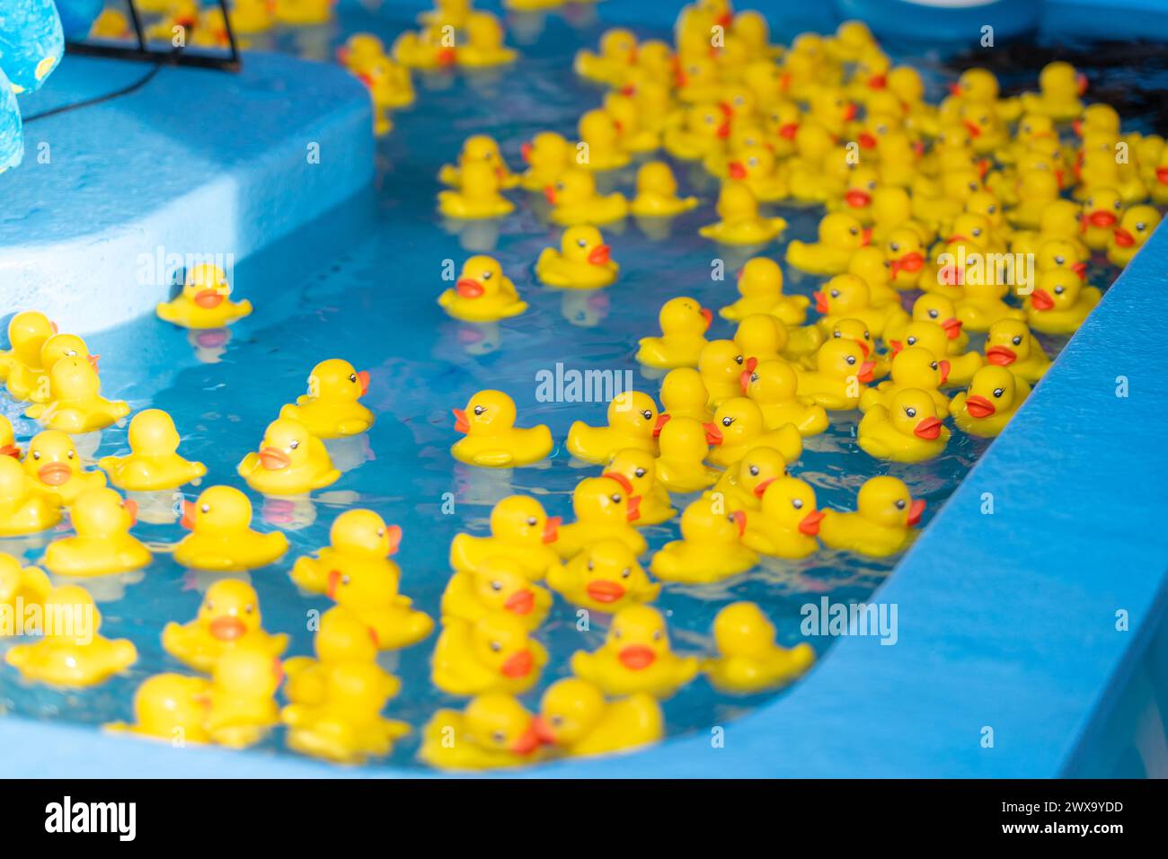 Many rubber ducks floating in the water at a fair booth Stock Photo - Alamy