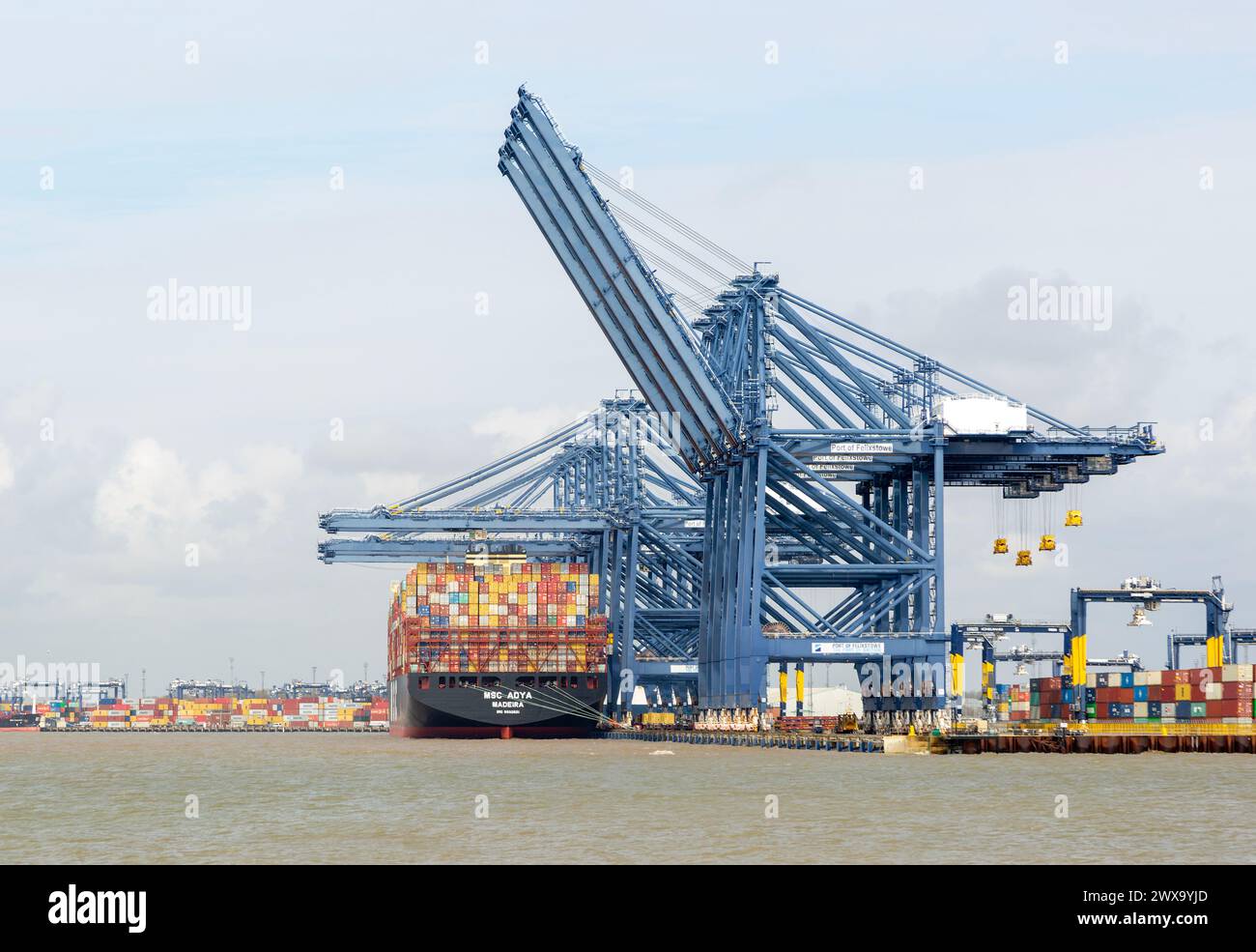 MSC Adya container ship at quayside, Port of Felixstowe, Suffolk ...