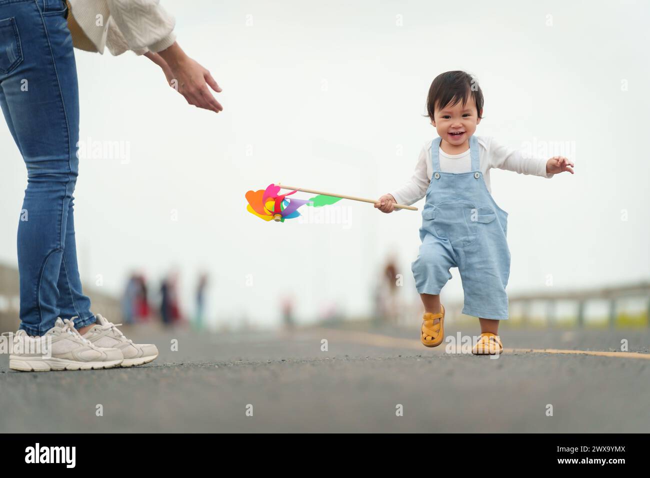 infant baby learn walking first step on a pathway with mother helping ...