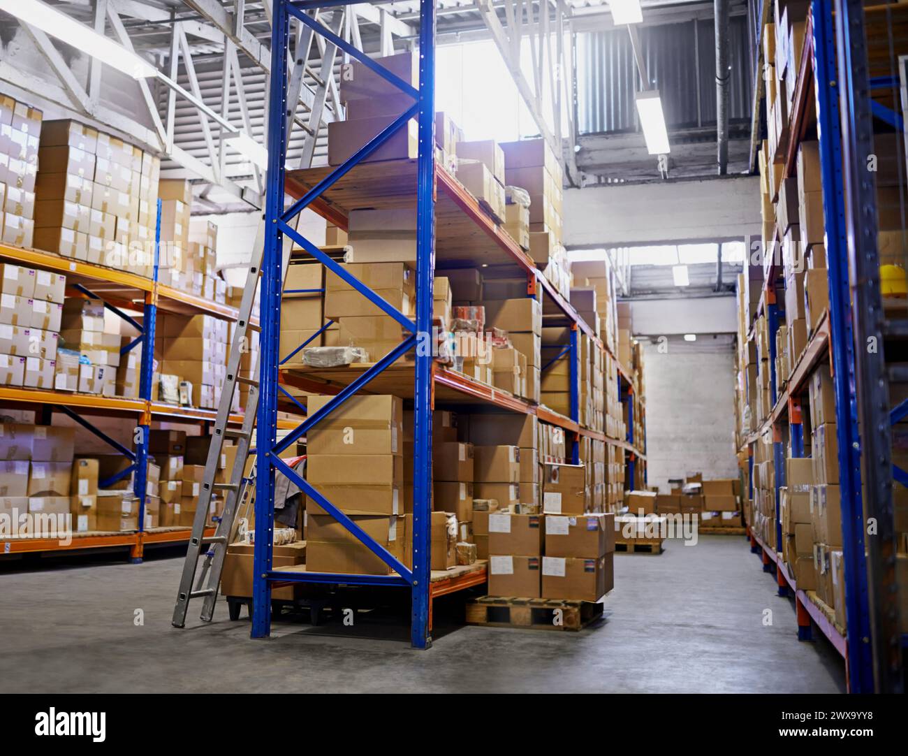 Warehouse, boxes and inventory with distribution, storage and cardboard ...