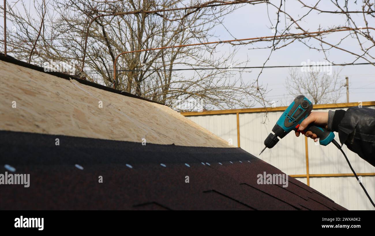 male hand with screwdriver tightening fasteners on wooden structure ...