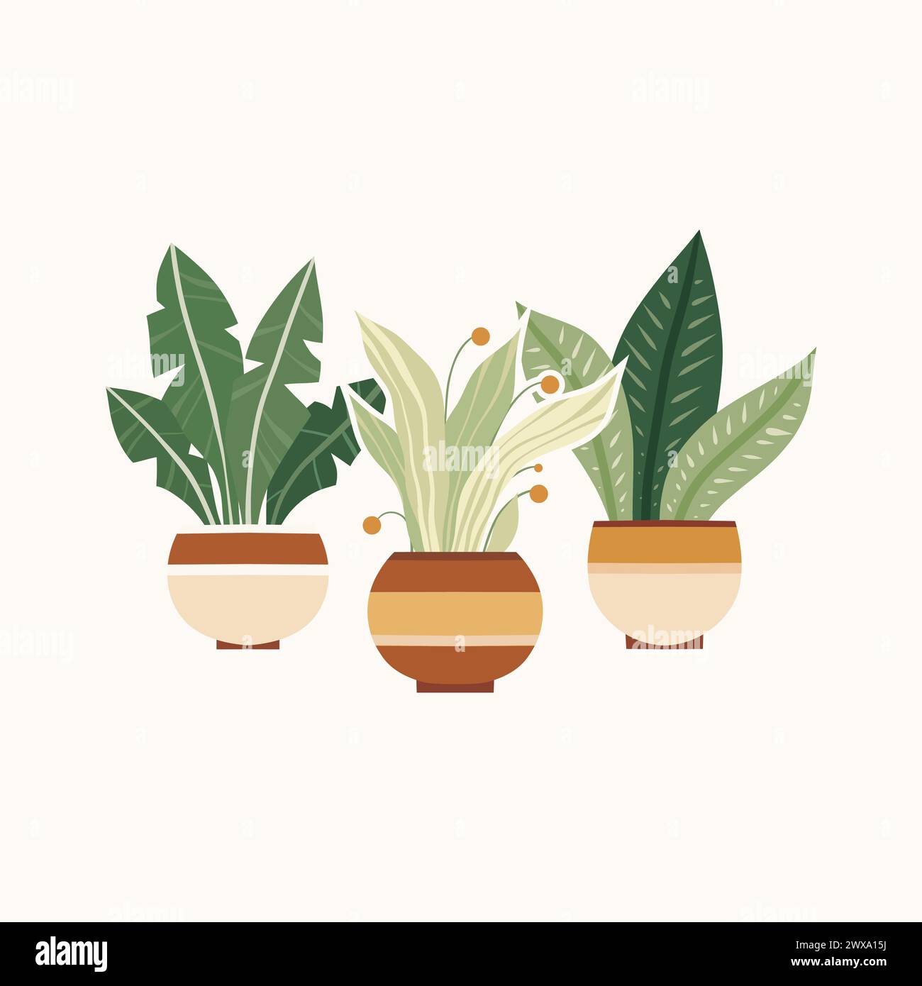 Vector flat illustration of flower pots. Stylish square card with a ...