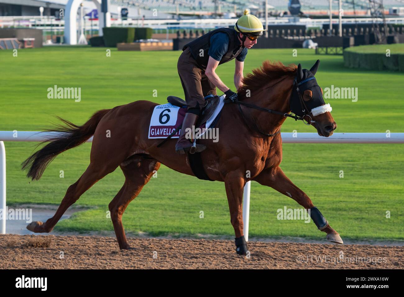 Meydan Racecourse, Dubai, UAE, Friday 29h March 2024; Dubai Gold Cup ...
