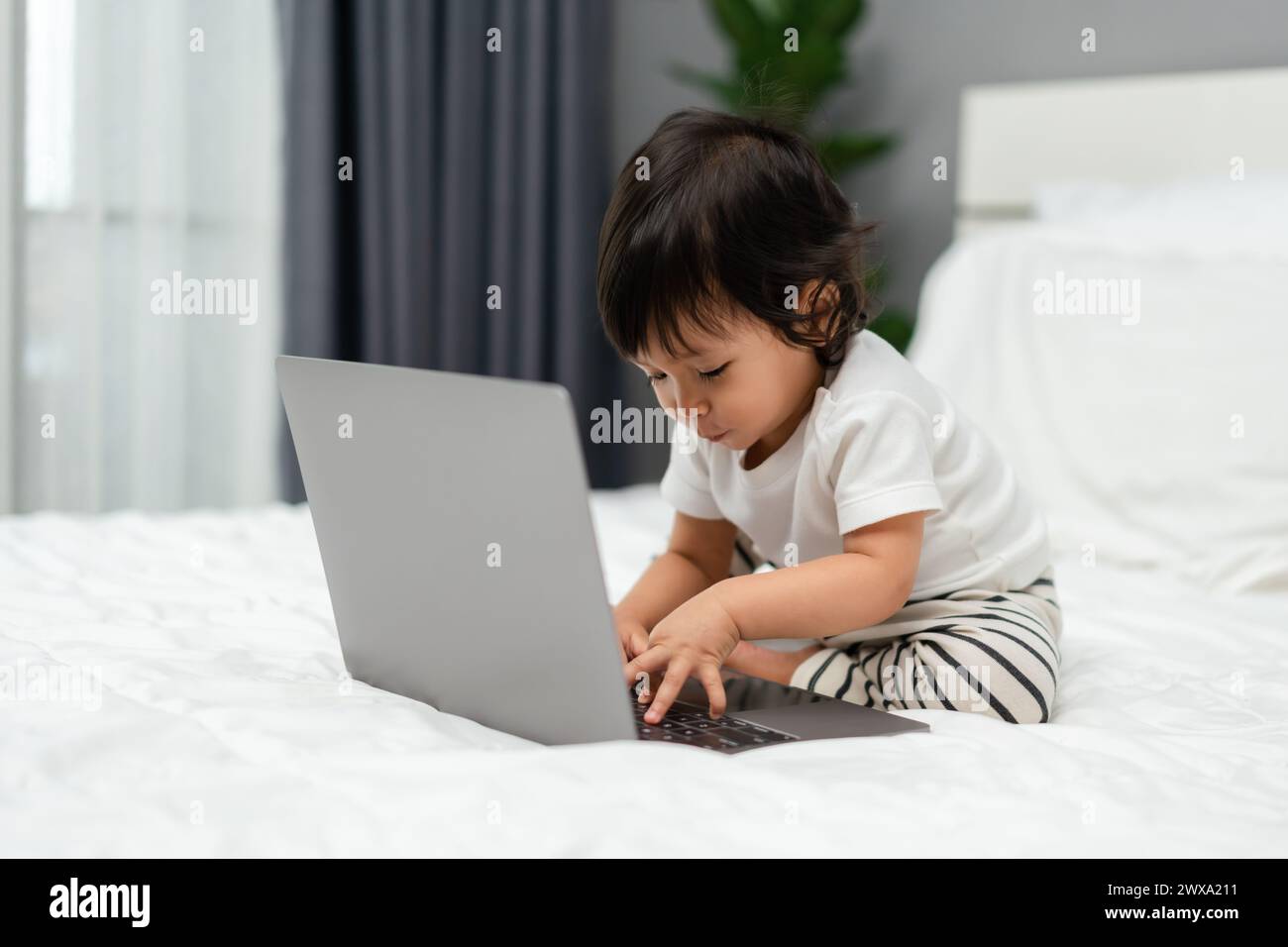 toddler baby typing on laptop computer on a bed Stock Photo - Alamy