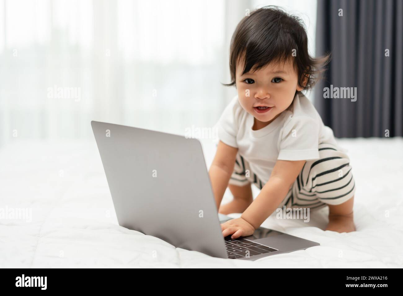 toddler baby typing on laptop computer on a bed Stock Photo - Alamy