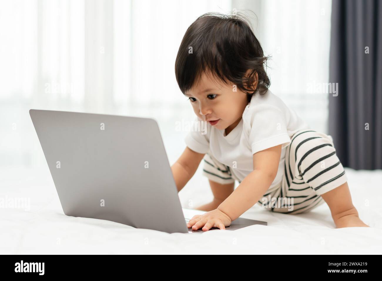 toddler baby typing on laptop computer on a bed Stock Photo - Alamy