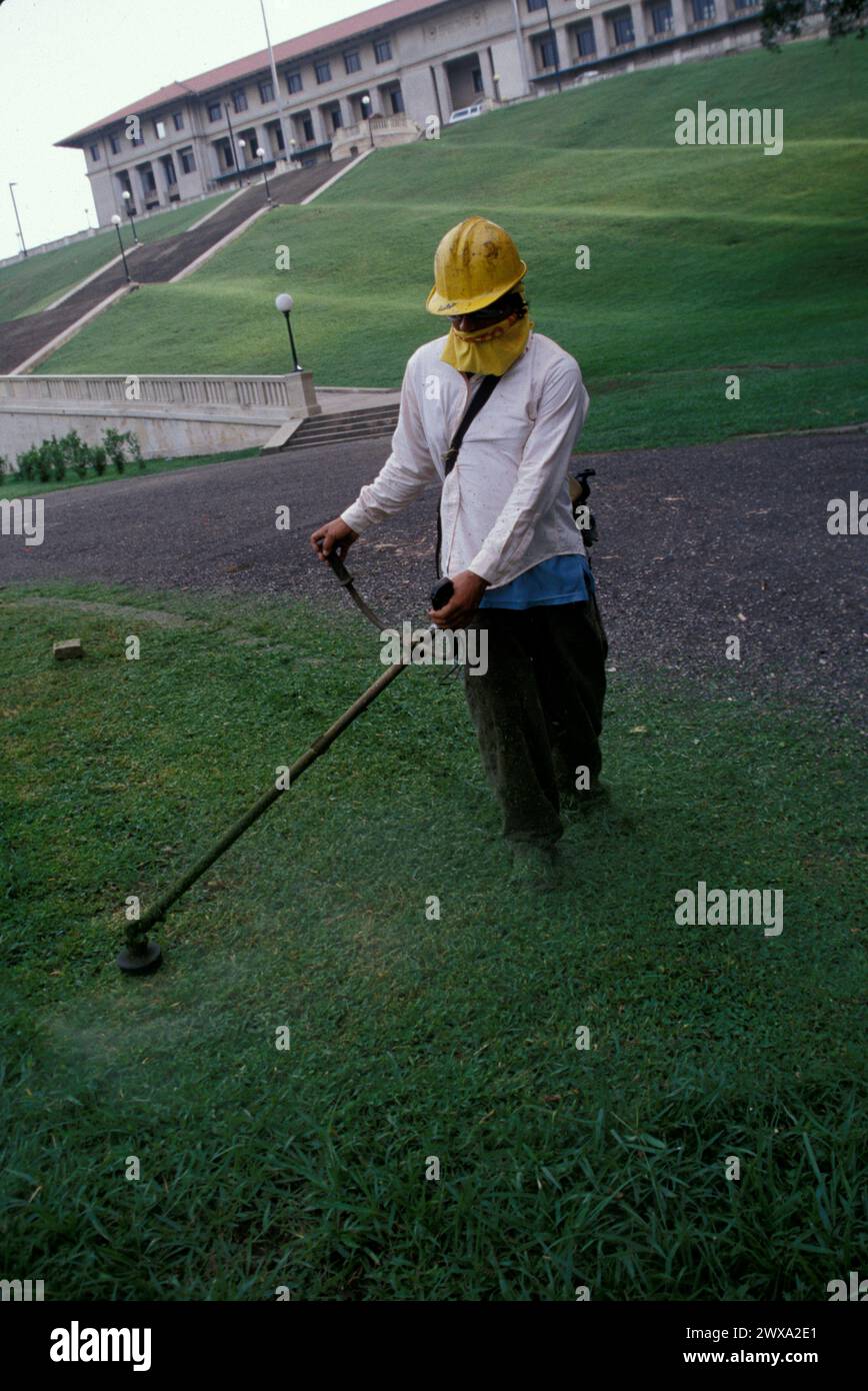 Weed panama hi-res stock photography and images - Alamy