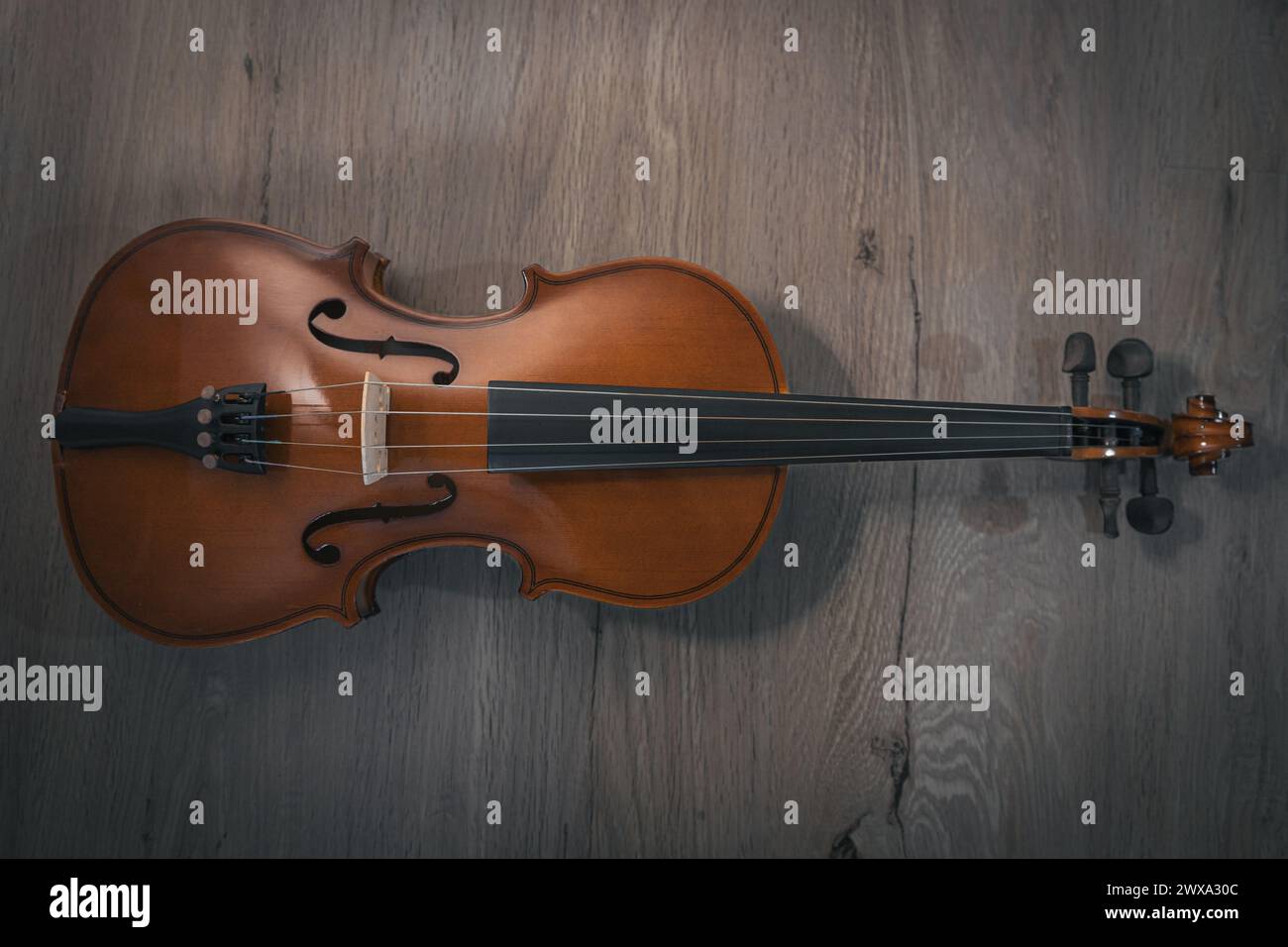front view of a solo violin Stock Photo - Alamy