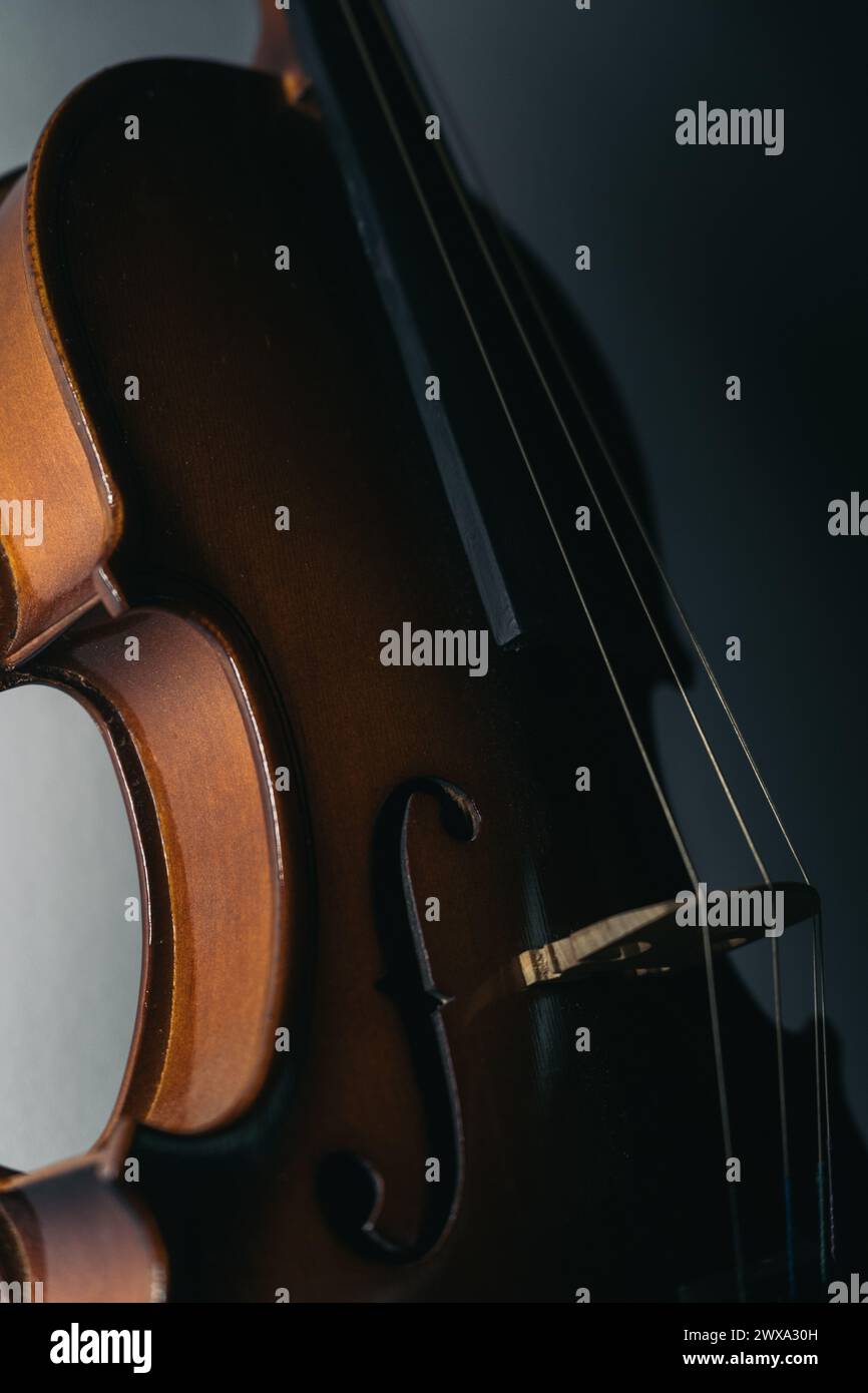 Side view of a violin and bridge Stock Photo - Alamy