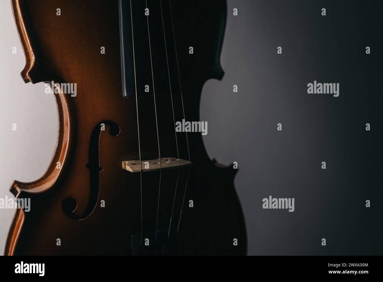 Viola violin close detail neck hi-res stock photography and images - Alamy