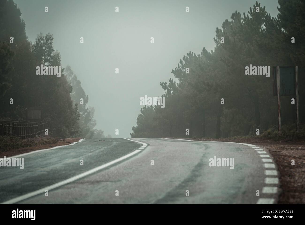 Narrow asphalt route leading hi-res stock photography and images - Alamy