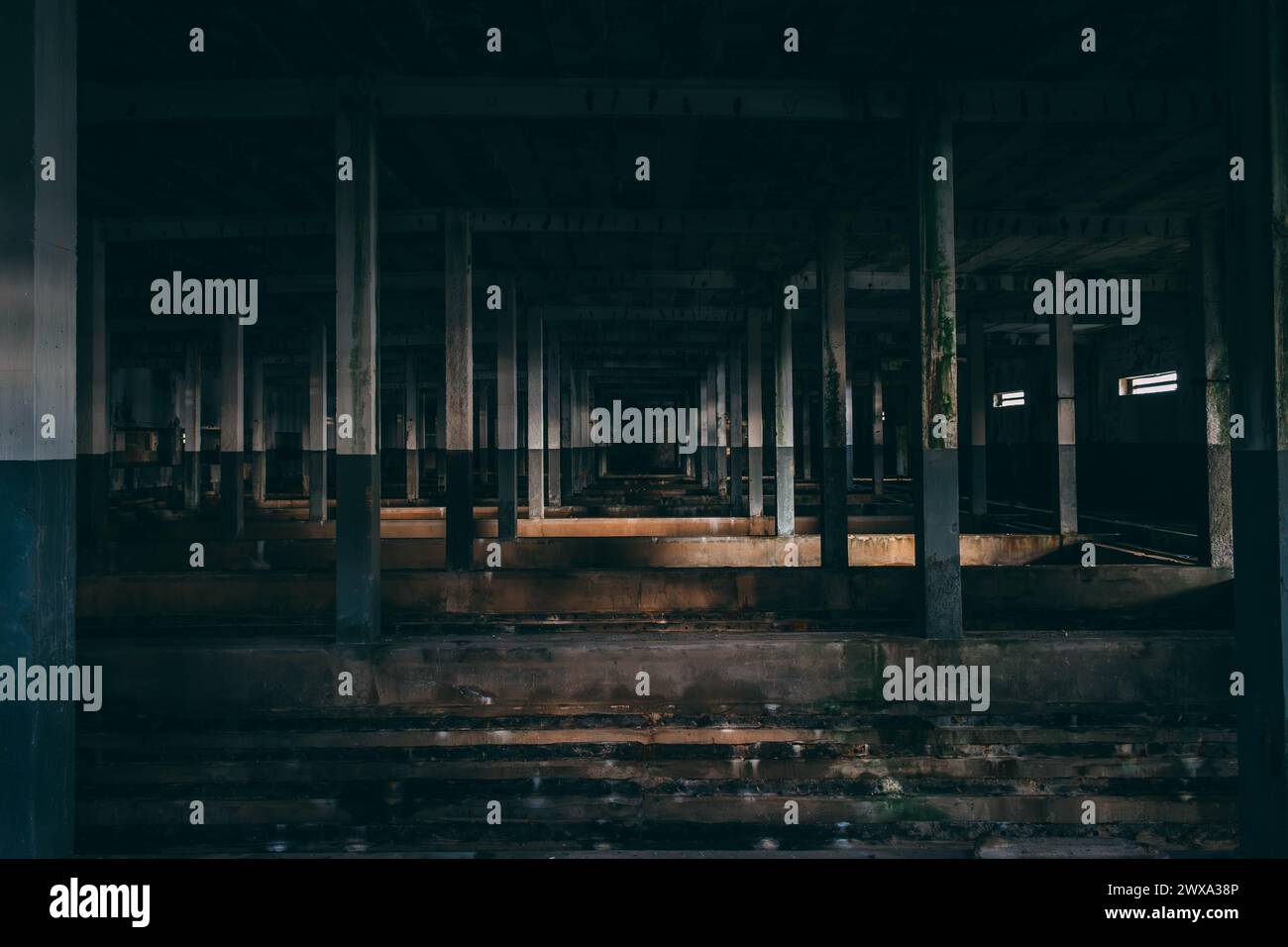 Abandoned structure concrete pillars hi-res stock photography and ...