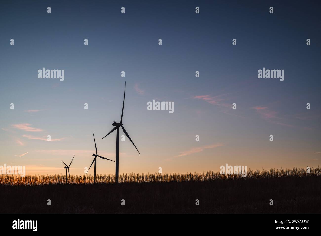 Wind turbines generating renewable energy at sunrise, Iowa, USA Stock ...