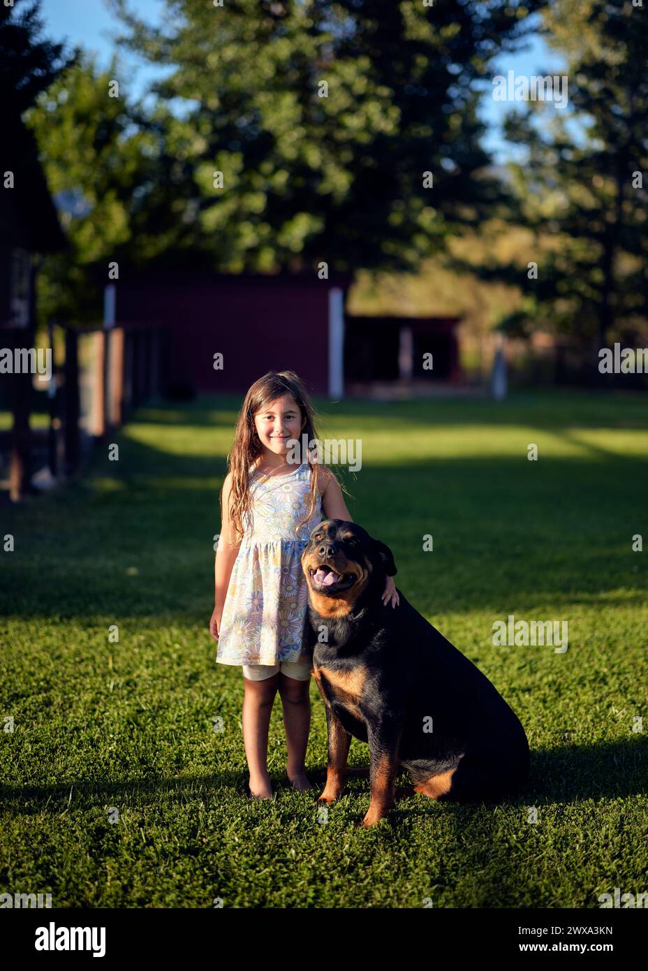Girl dog rottweiler hi-res stock photography and images - Alamy