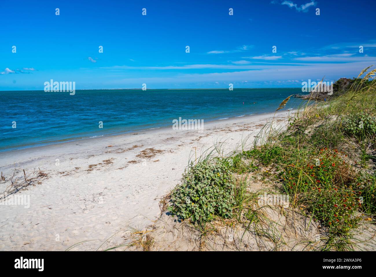 An overlooking view in North Carolina, Outer Banks Stock Photo - Alamy