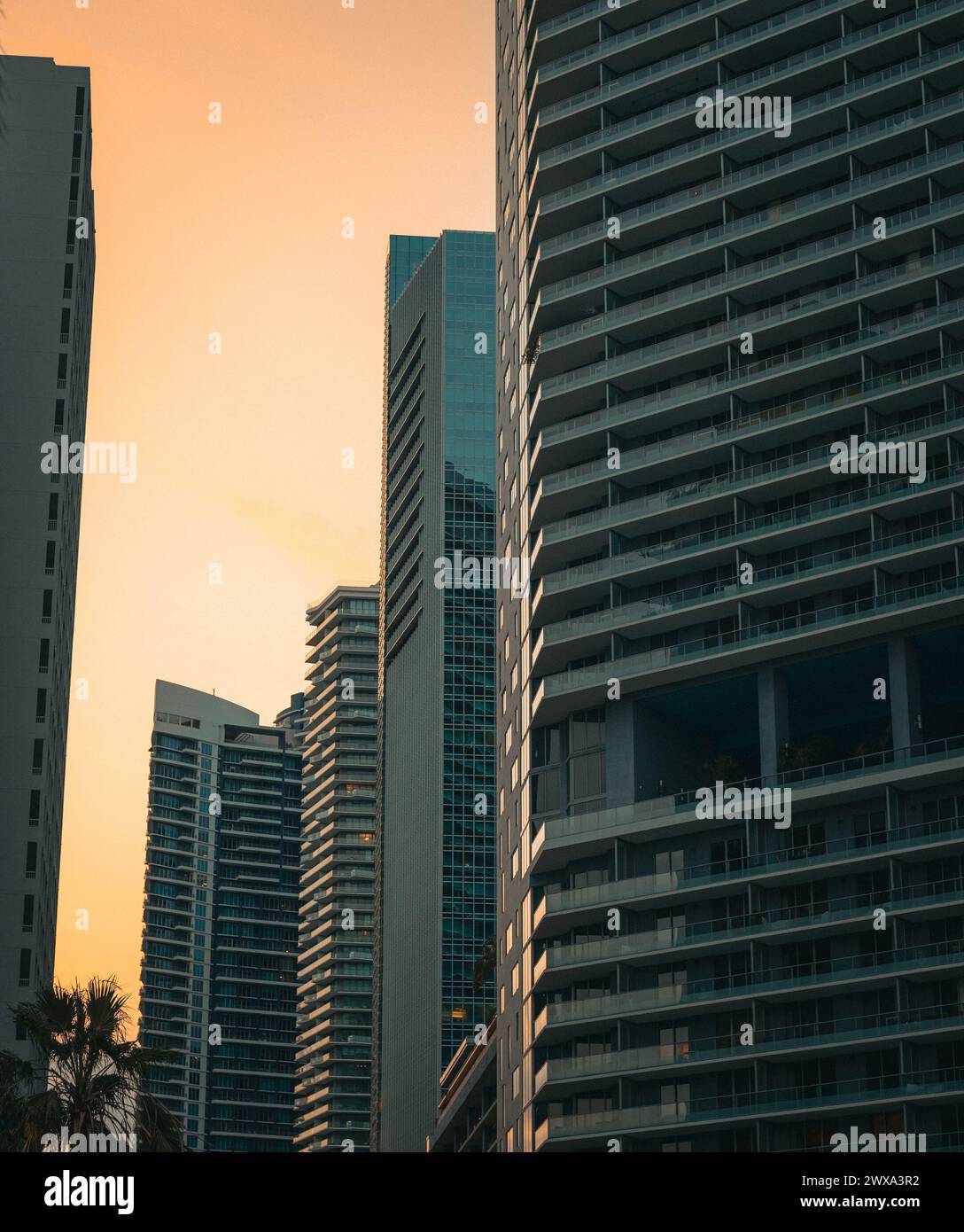office buildings sunset skyscrapers miami Stock Photo - Alamy