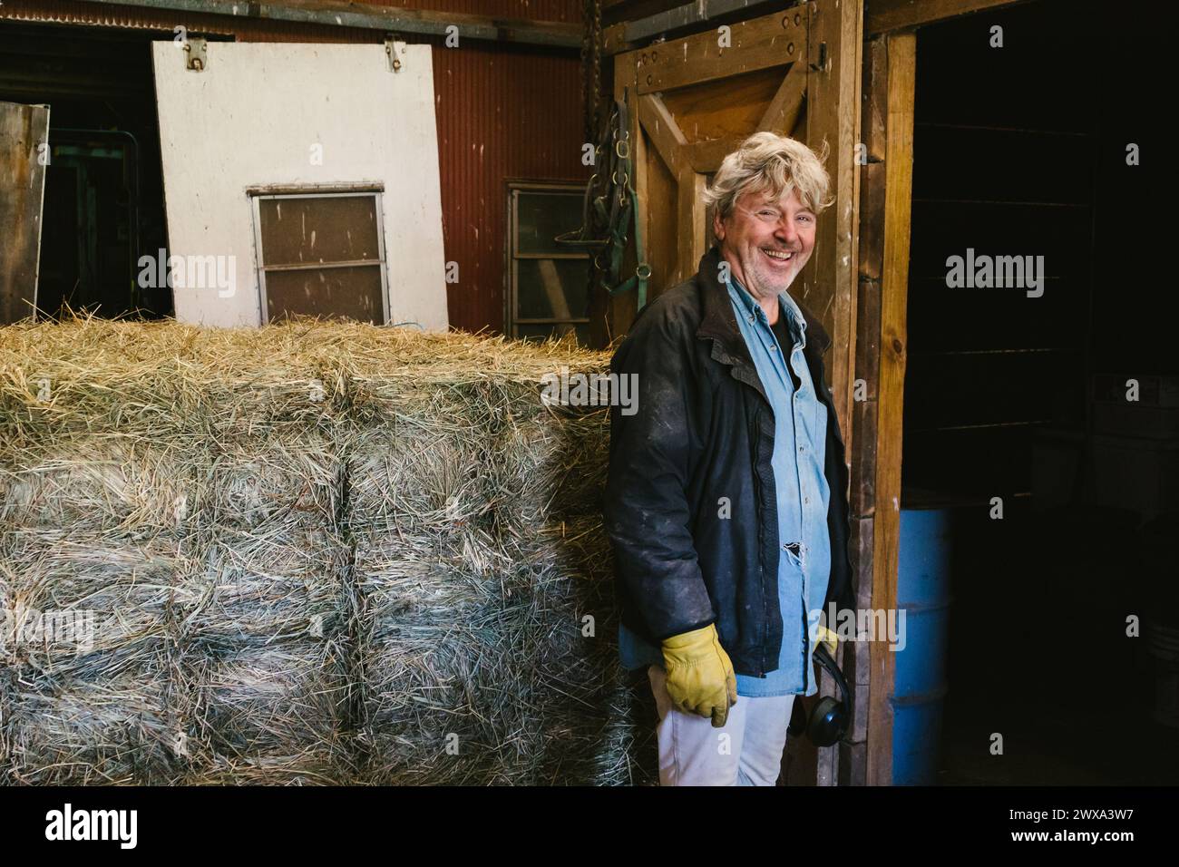 Man laughs in horse barn with hay behind him Stock Photo - Alamy