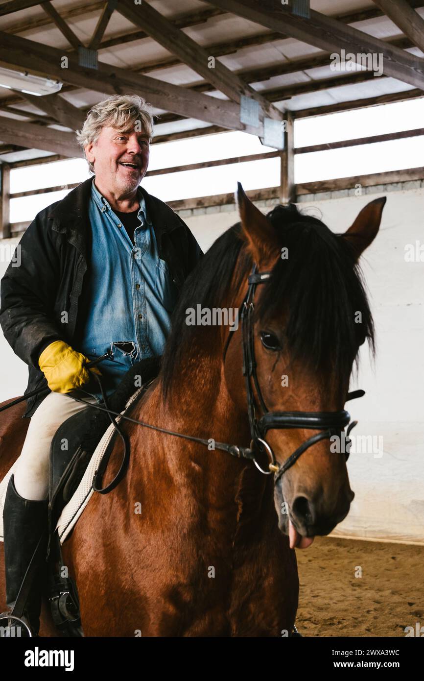 Gray haired older man riding a chestnut stallion indoor arena Stock ...