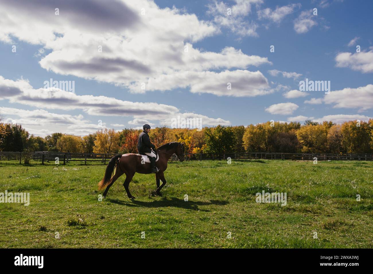 Riding horses through the trees hi-res stock photography and images - Alamy