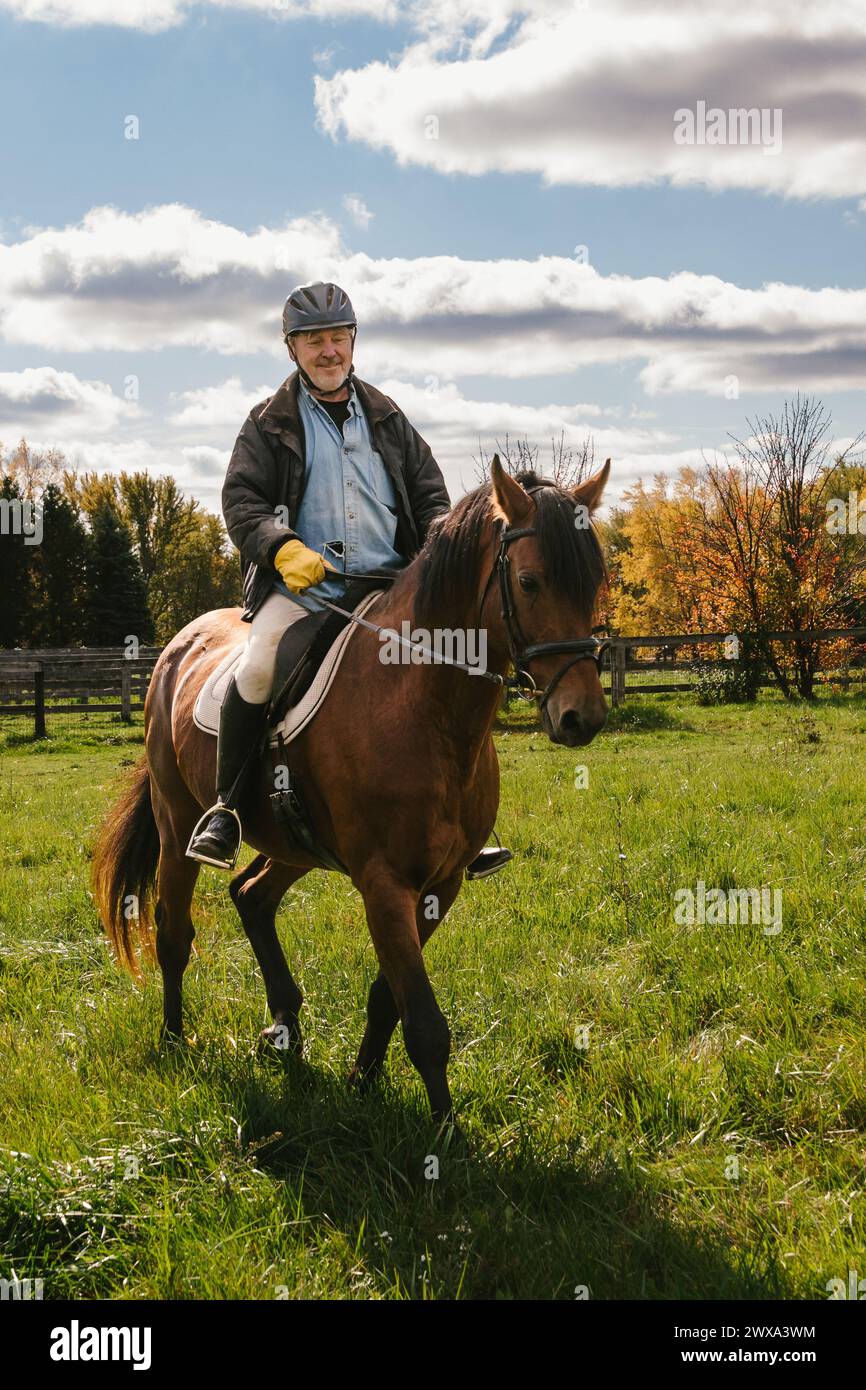 Man rides brown chestnut stallion horse with fields and fall trees ...