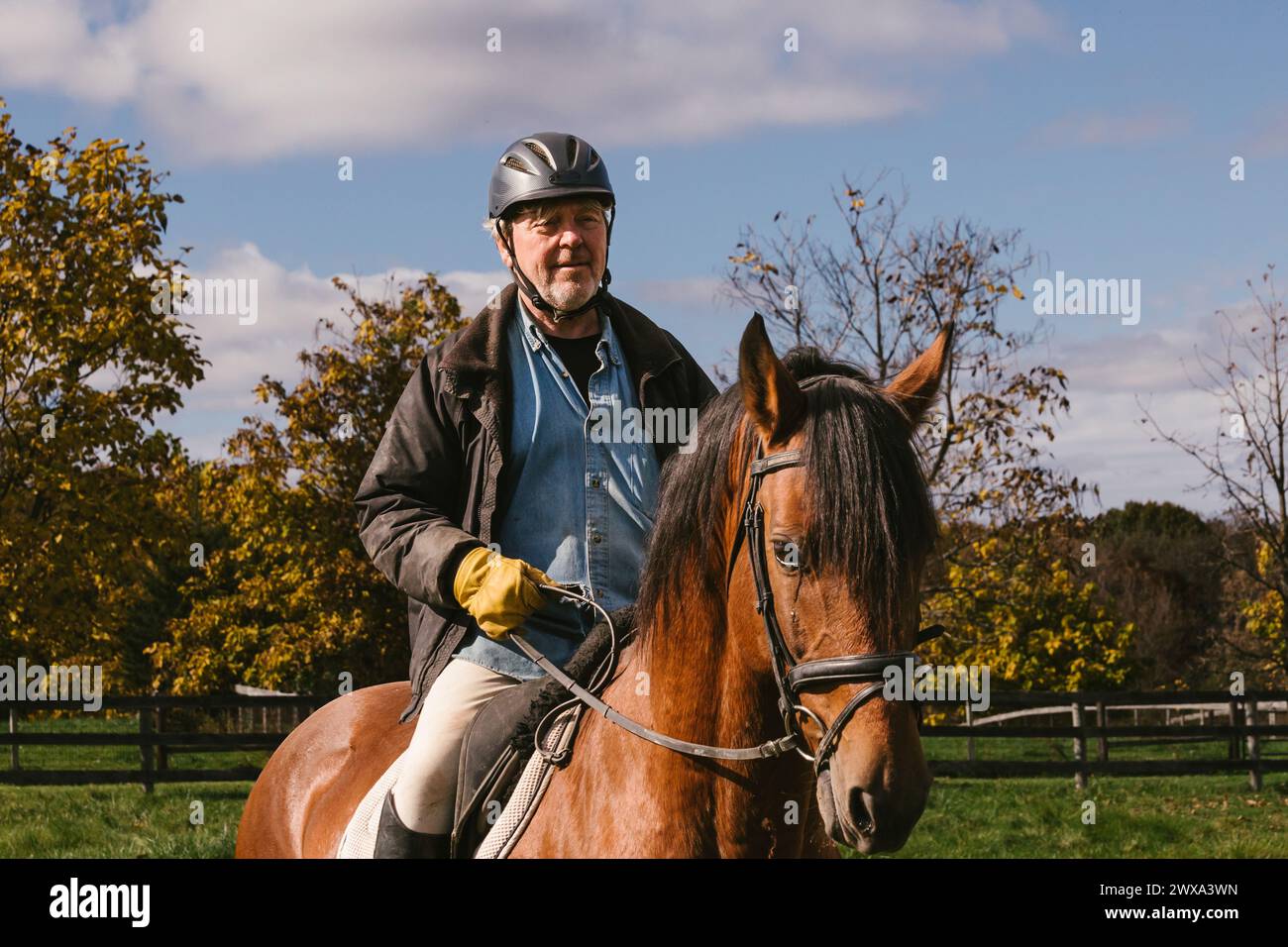 Man rides brown chestnut horse through fall tree fields Stock Photo - Alamy